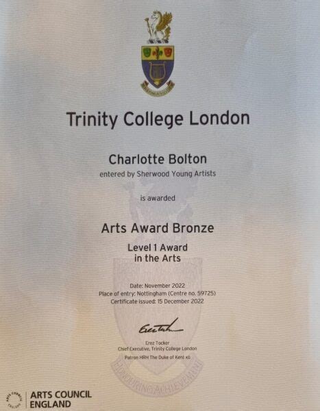 Year 7 Student Charlotte Achieves Trinity College Bronze Art Award