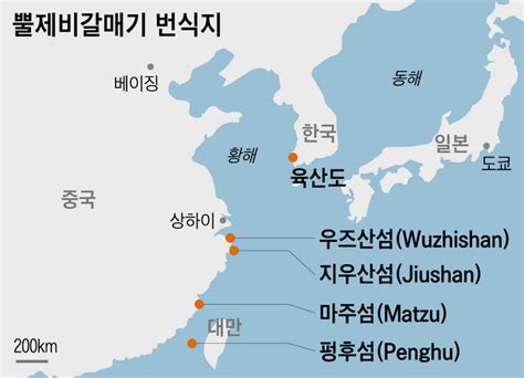 전세계 100마리 뿐인 이 새 전남 육산도에서 새끼 낳았다