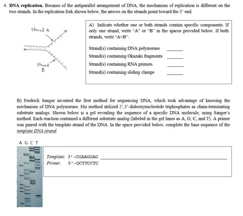 Solved 4 Dna Replication Because Of The Antiparallel