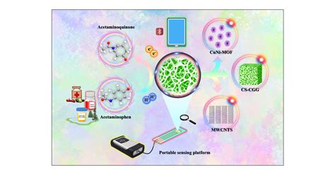Portable Electroanalytical Platform Based On Eco Friendly Biomass Based Hydrogels With