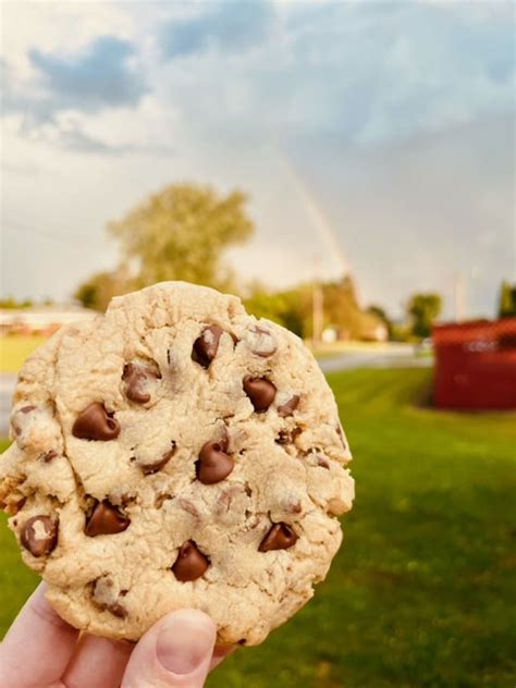 Gem Cookie Company Lifes Short Eat Dessert First