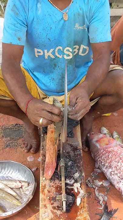River Bele Fish Cutting Skills Village Style Shorts Fishcutting