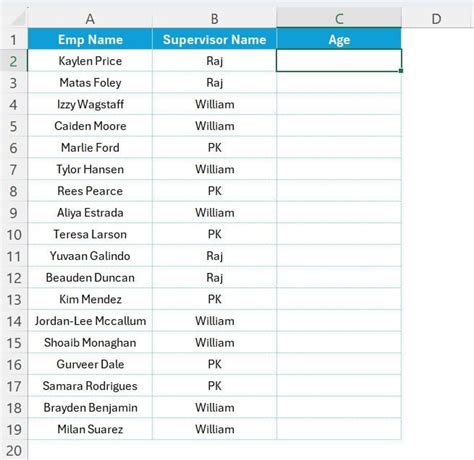 Excel Tips Age Data Validation Tricks For Hr Pros Pk An Excel Expert