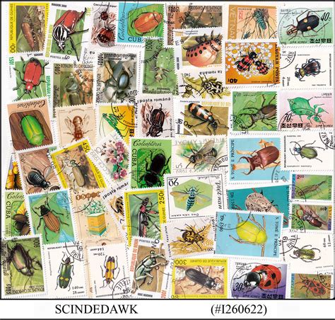 Collection Of Insects Bees Beetles Stamps From Different Countries