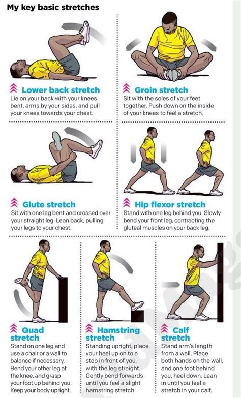 Basic Stretches Fitness Motivation Exercise Fitness Tips