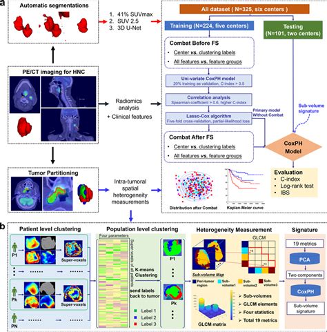 Overview Of The Study Design And The Radiomics Pipeline A Detailed