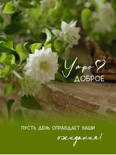 Доброе утро счастливого дня 84 фото