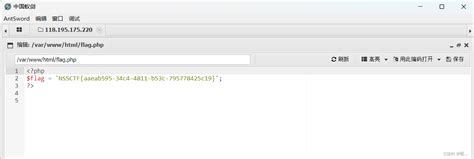 nssctf做题 [第五空间 2021]webftp csdn博客