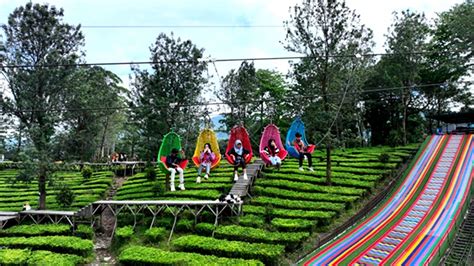 Wisata Gunung Mas Bogor Hadirkan Wahana Baru KERANJANG MAS Seru Dan