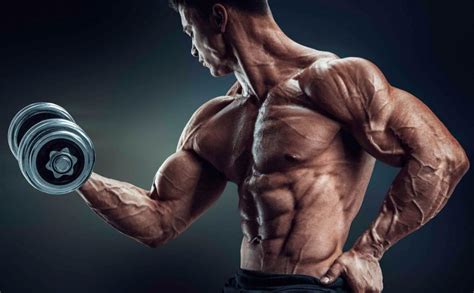 Упражнения с гантелями в домашних условиях гантельная гимнастика