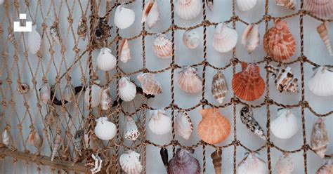 A Tree With Many Small Round Objects On It Photo Free Kos Image On Unsplash