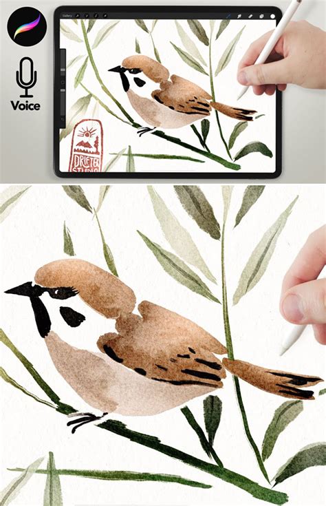 26 Best Procreate Tutorials Learn Drawing Sketch And Illustration