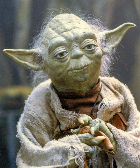 Syntax And Master Yoda Glebe Report