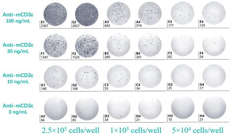 Hla人源化小鼠在肿瘤疫苗市场开启【狂飙】赛道 知乎