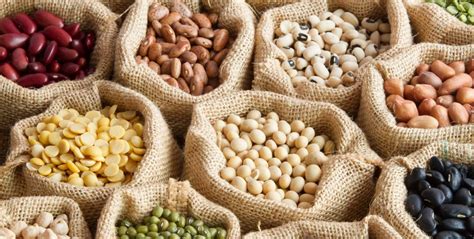 Las Sorprendentes Razones Por Las Que La Ciencia Dice Que Hay Comer Más