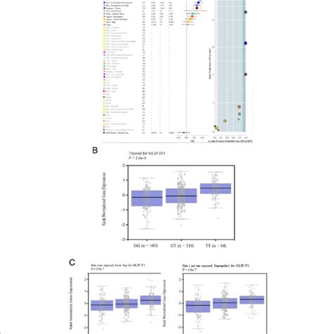 The Result Of Expression Quantitative Trait Loci Analysis Eqtl From Download Scientific