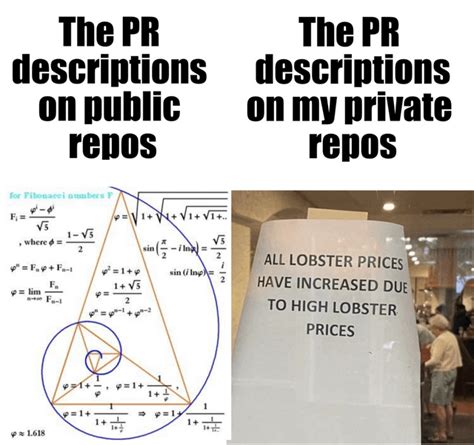 Pr Descriptions In Private Repos Rprogrammerhumor