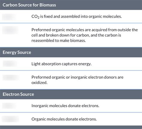 Microbiology Chapter Diagram Quizlet