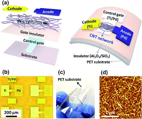 Flexible Carbon Nanotube Schottky Diode And Its Integrated Circuit