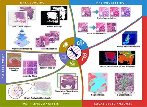 Mostafa Jahanifar On Linkedin Cpath Digitalpathology Cpath Tiatoolbox Tiatoolbox