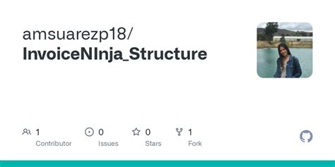 GitHub Amsuarezp InvoiceNInja Structure