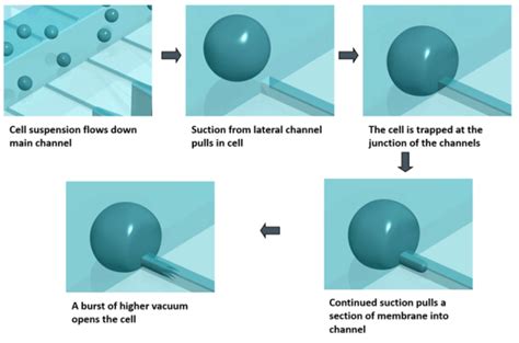 Revolutionizing Electrophysiology Embracing Automated Patch Clamp For