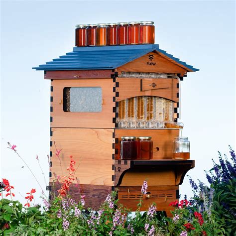 10 Frame Langstroth Hive Dimensions Complete Beehives