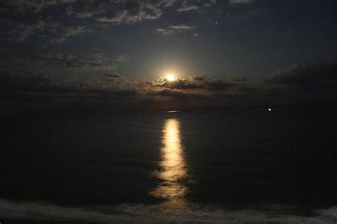 Moon Shutterbug