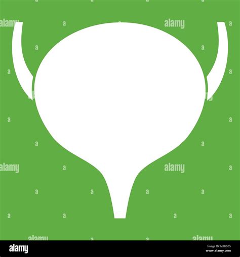 Bladder Icon Green Stock Vector Image And Art Alamy