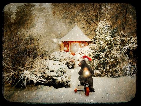 Bild Schnee Fröhliche Weihnachten Winter Kostenlose TOP Bilder