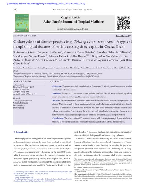 Pdf Chlamydoconidium Producing Trichophyton Tonsurans Atypical