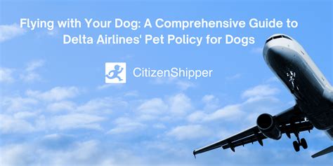 Delta Pet Flying Policy 2024 Marin Sephira