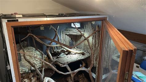 Terrarium Zu Verschenken X X Cm Bei Gie En Neustadt An Der Aisch