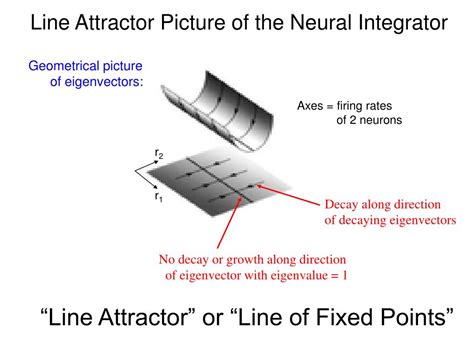 Ppt How Neurons Do Integrals Powerpoint Presentation Free Download