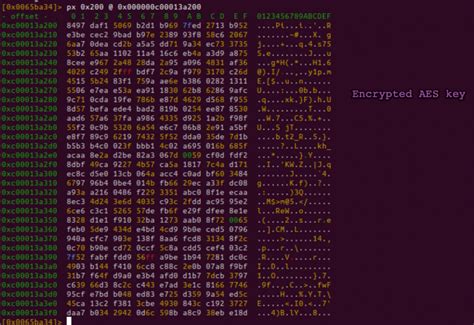 Analysis Of A New Golang Ransomware Targeting Linux Systems