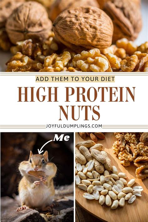 8 Best High Protein Nuts And Seeds For Snacking Joyful Dumplings