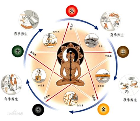 天医磁场 数字能量学