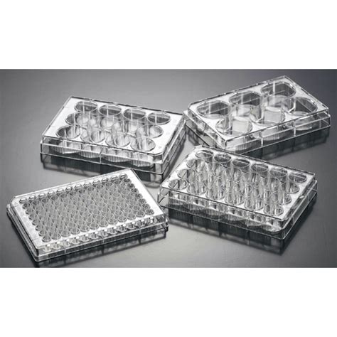 Jetbiofil Jetbio Tcp Cc Tcp