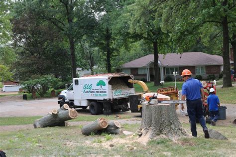 St Louis Magazine A List Award Best Tree Services G G Lawn Care Tree Service G G