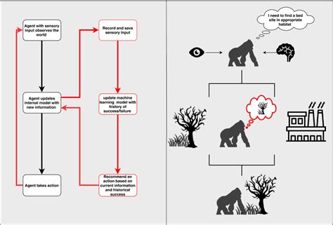 Example Of Internal Agent Model Cycle In Black With Integration Of