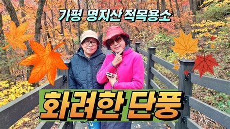 전설속에 화려한 단풍 Youtube