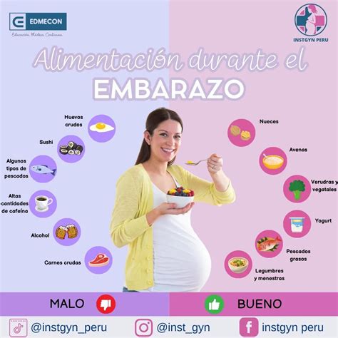 Alimentacion Durante El Embarazo Instgyn