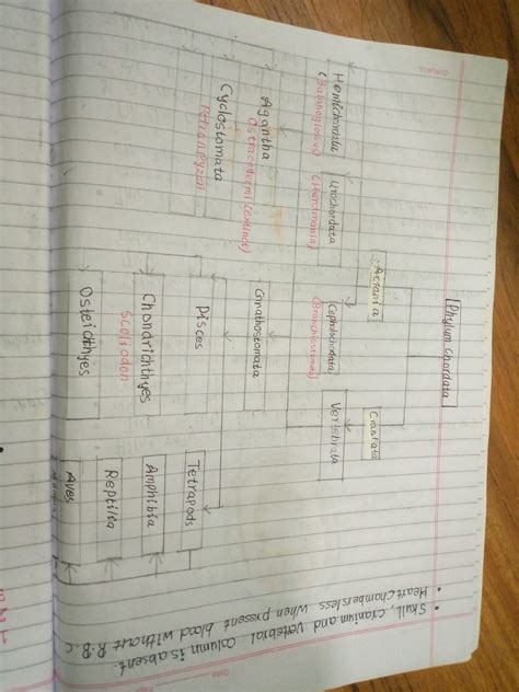 The Classroom Notes