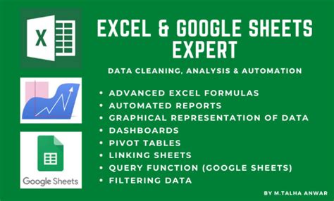 Provide You Advanced Excel And Google Sheets Services By Talhaanwar744