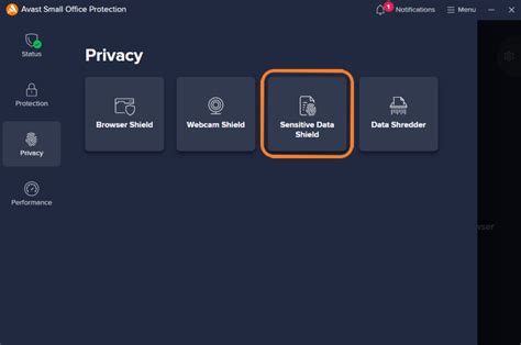 Sensitive Data Shield