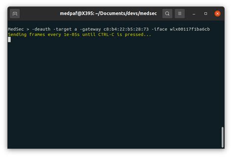 GitHub DrDeviant Penetration Testing Tool Network And Pentest Tool For Linux Systems