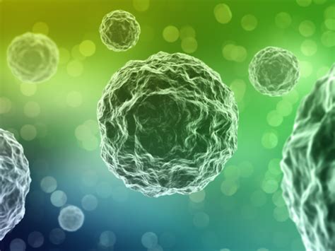 Single Cell Foundation Models The Next Big Thing