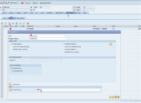 sap系列 debug sap debug csdn博客