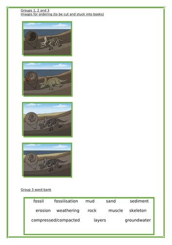 Fossilsfossilisation Worksheet And Extension Task Teaching Resources