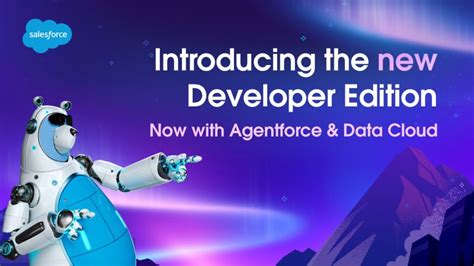 developer salesforce developers